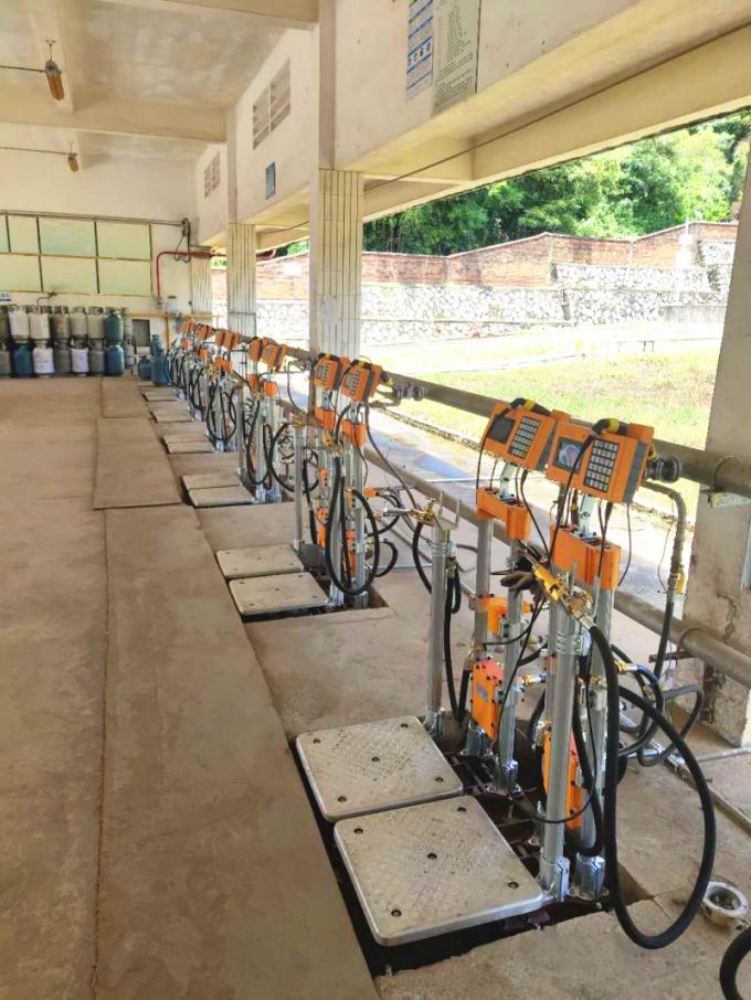 220V Explosion Proof LPG Propane Gas Refill Machine 120Kg Weighing